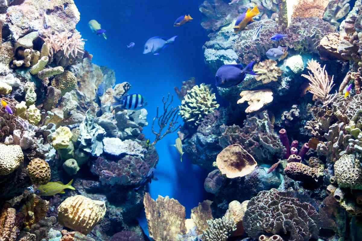 Breathtaking World of Biodiversity: Top 6 UNESCO Eco-Tourism Gold in ...